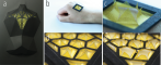 Bio-actuators: bioLogic