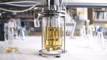 Bio-actuators: bioLogic